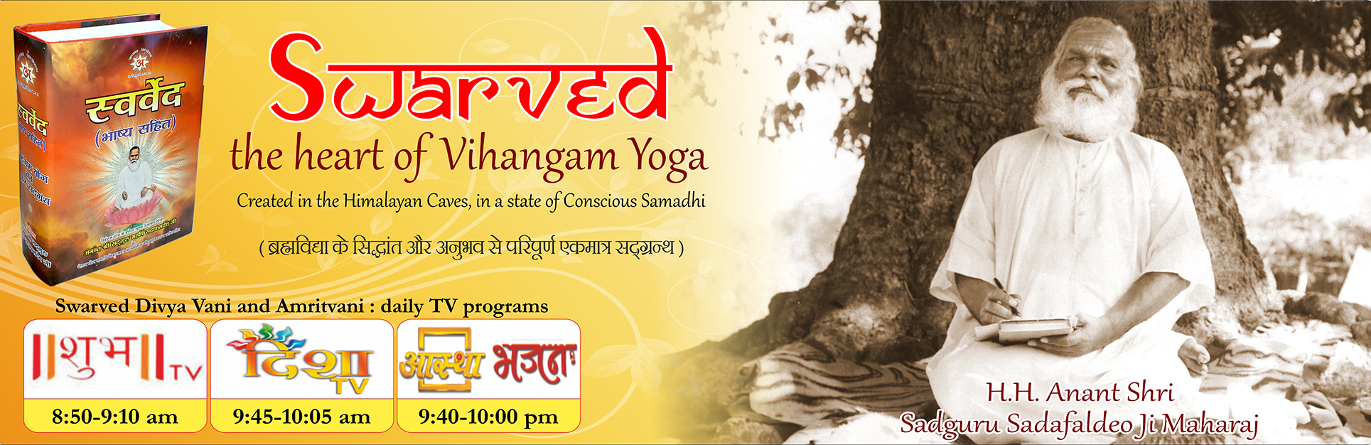 North America Institute of Vihangam Yoga